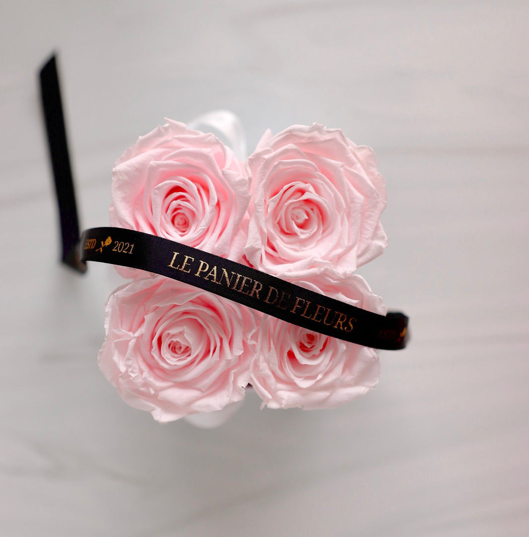 The Original Preserved Roses in a Box - Up to 50% OFF + Free Delivery ...