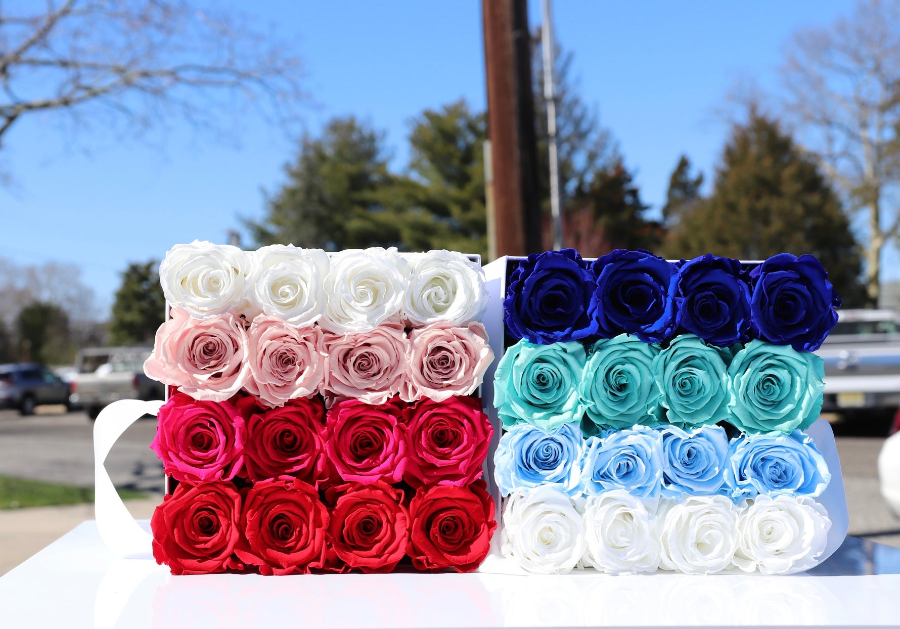 The Original Preserved Roses in a Box - Up to 50% OFF + Free Delivery ...